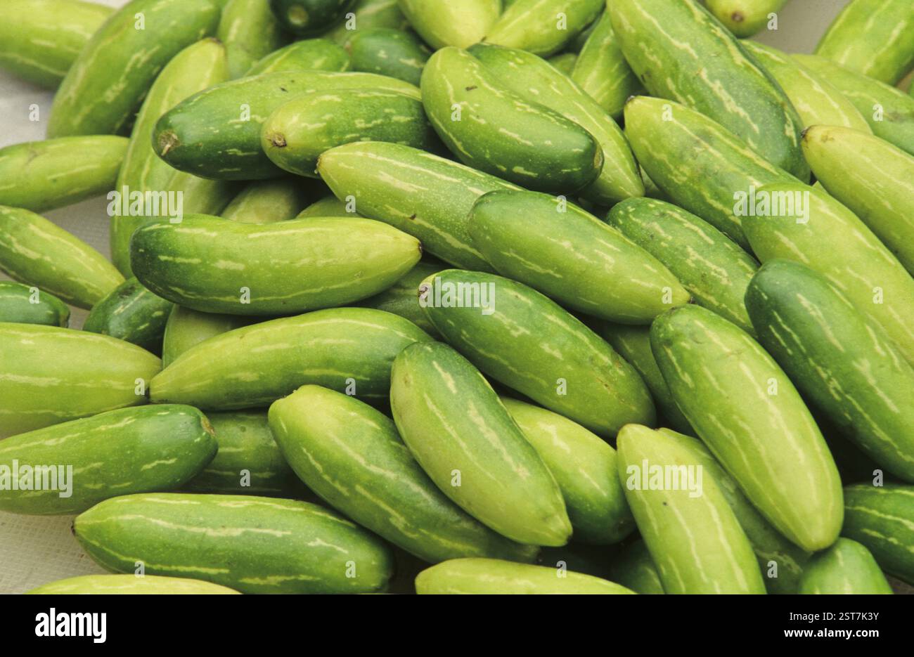 Jerkins hi-res stock photography and images - Alamy