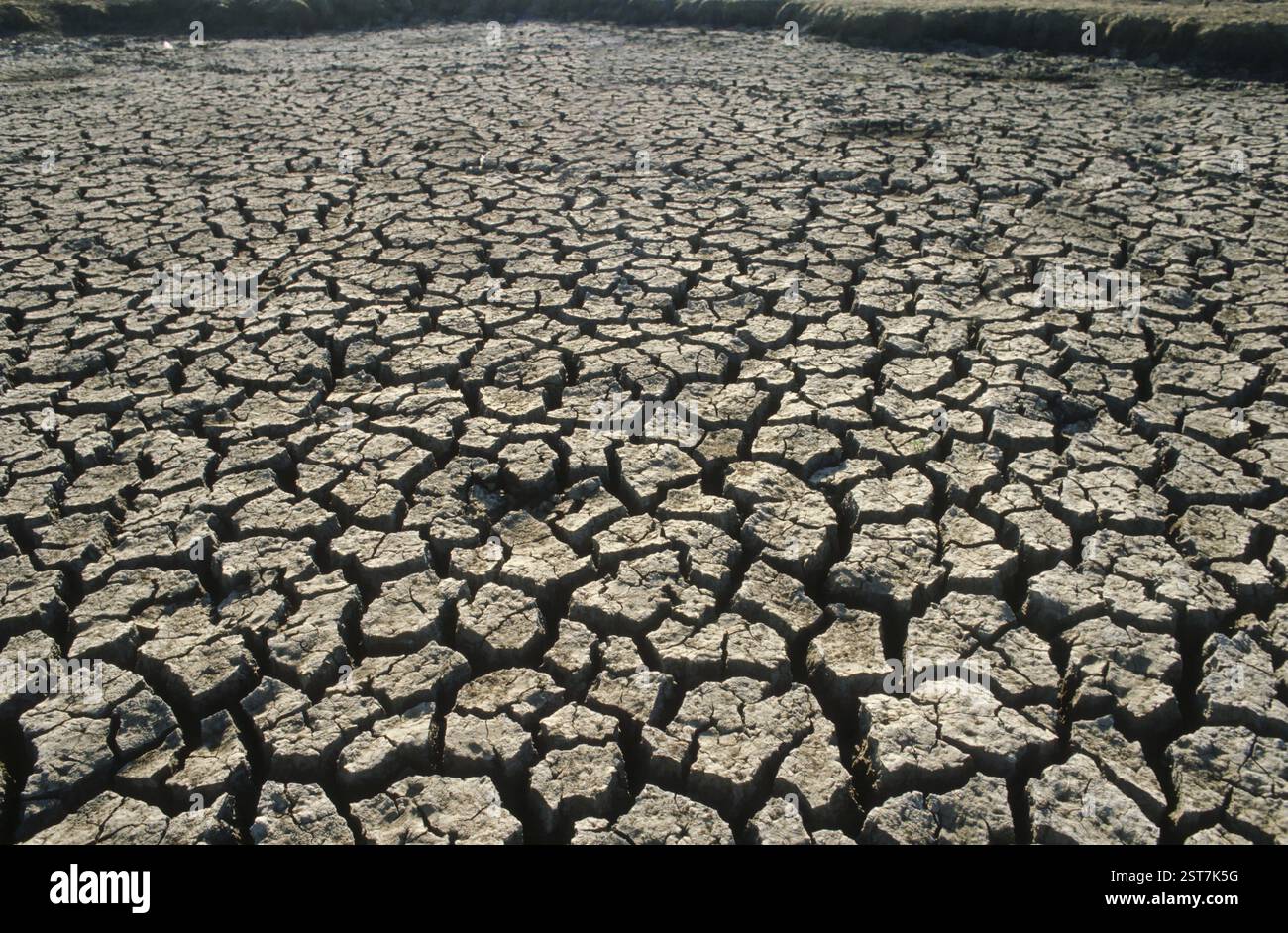 Drought, India, Asia Stock Photo - Alamy