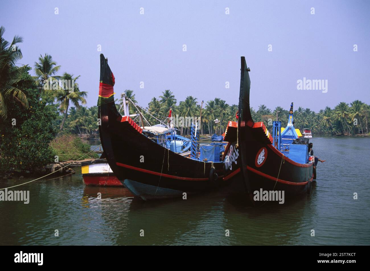 Snake boats, kerala, india Stock Photo - Alamy
