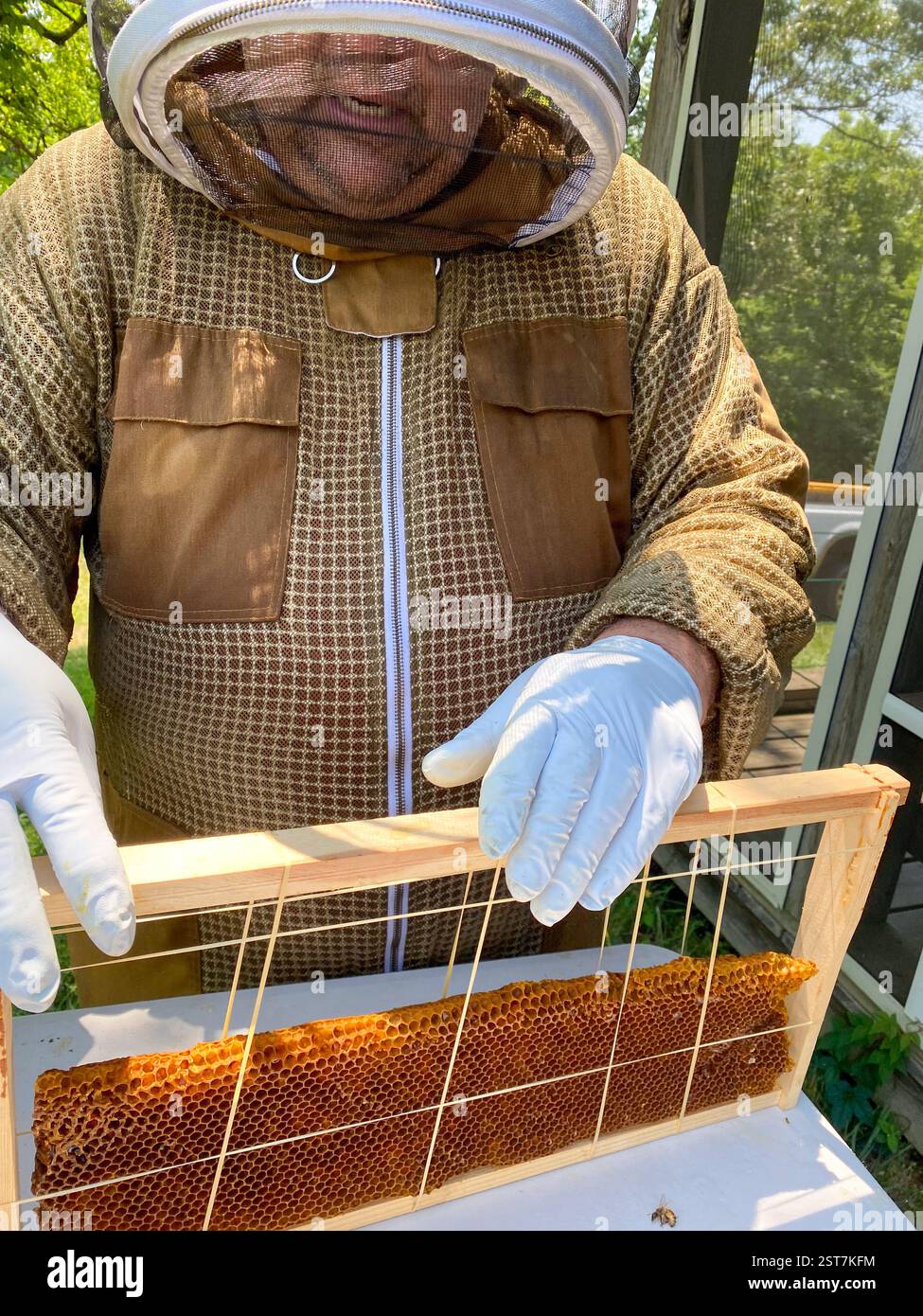A beekeeper removes a colony of bees from a house by locating the nest ...