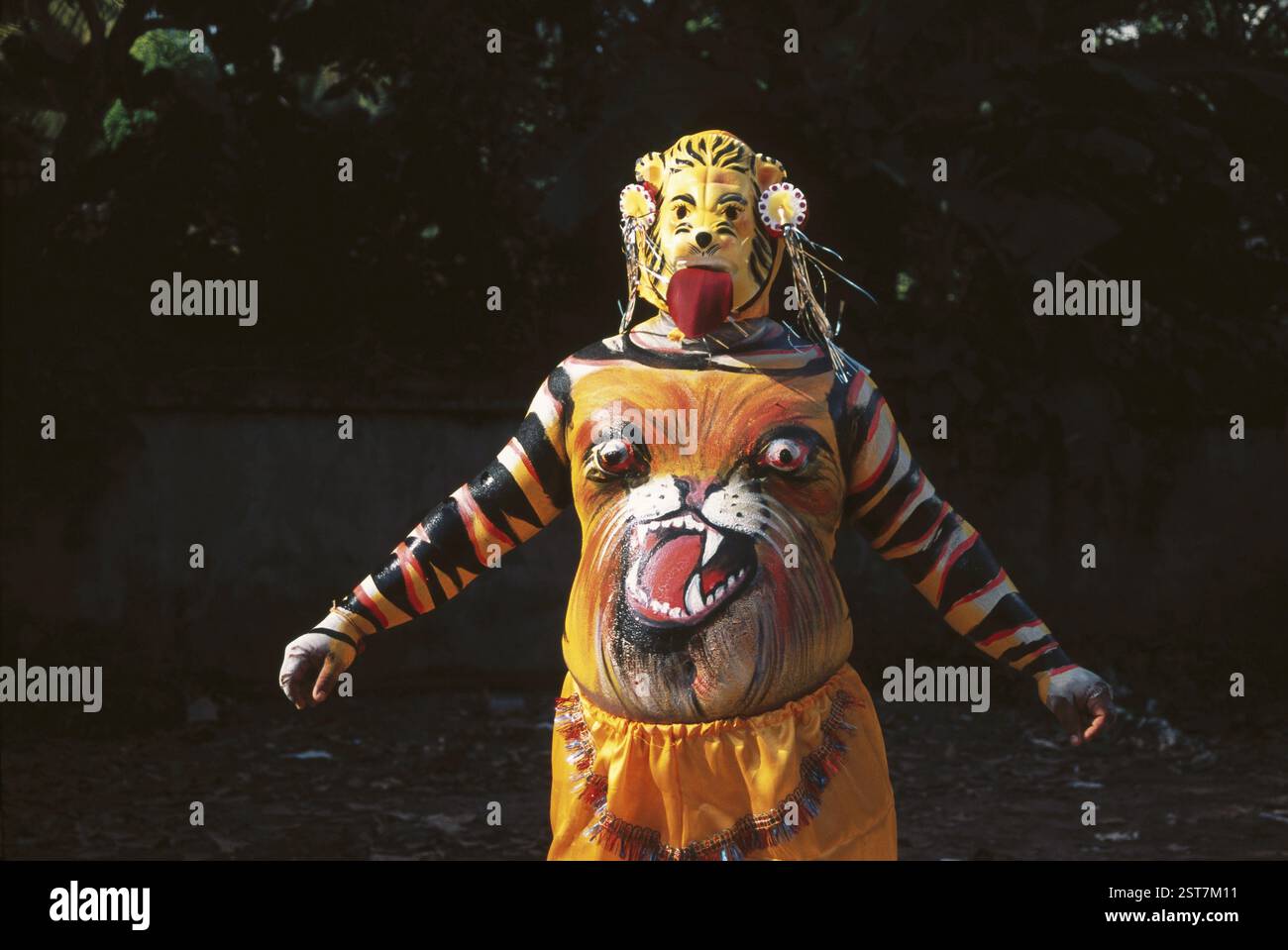 Puli Tiger dancer, kerala, India, Asia Stock Photo - Alamy