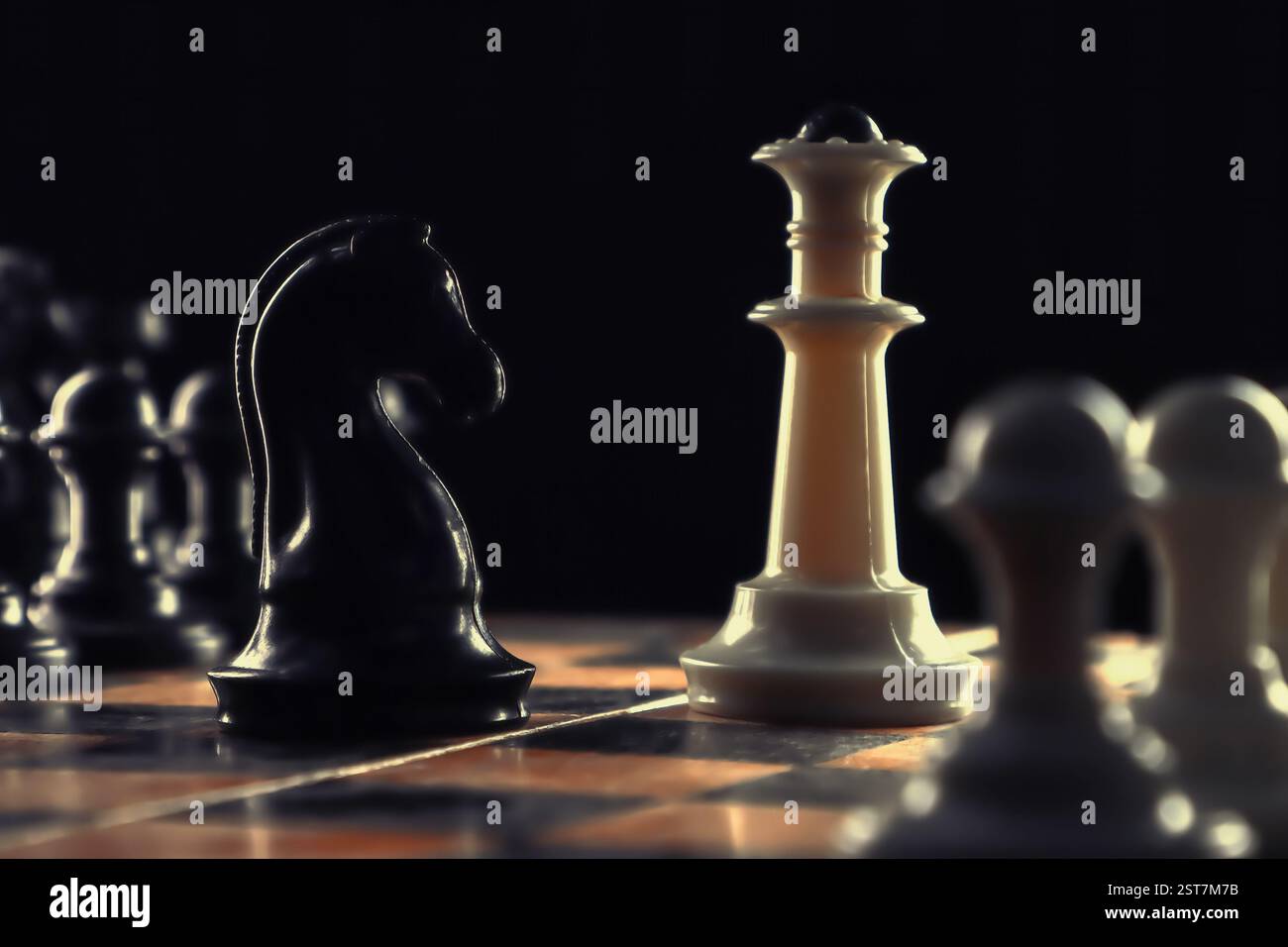 Close-up, chessboard and queen and knight facing each other surrounded ...