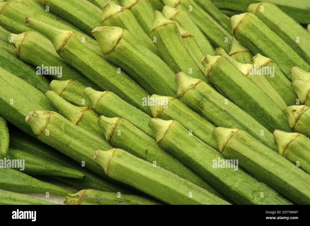 Food, Vegetable, Bhindi lady's finger Ladies Fingers Okra Abelmoschus ...