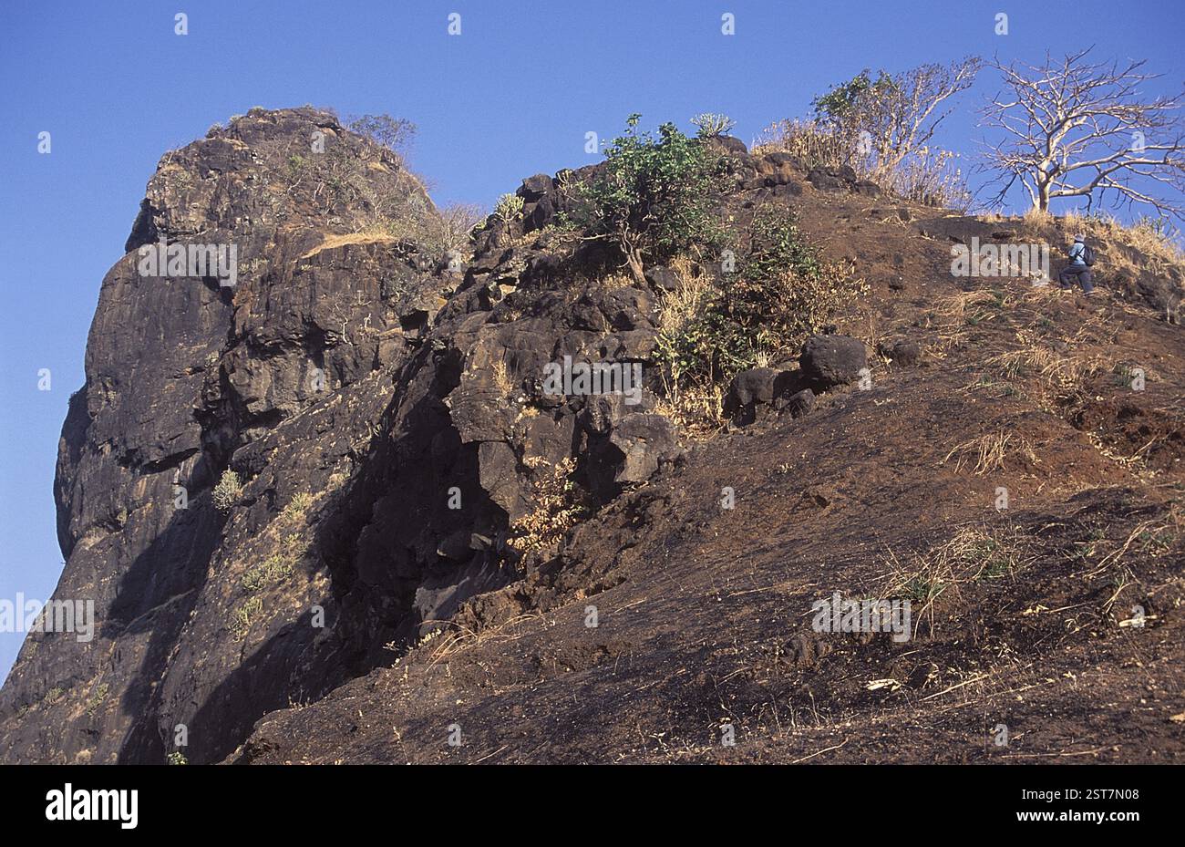 Trekker, Fort Tandulwadi, Saphale, Thane, Maharashtra, India, Asia ...