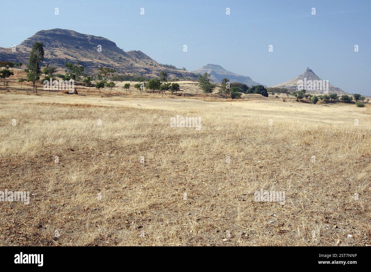 Dry land and hills at Sangamner, Maharashatra, India, Asia Stock Photo ...