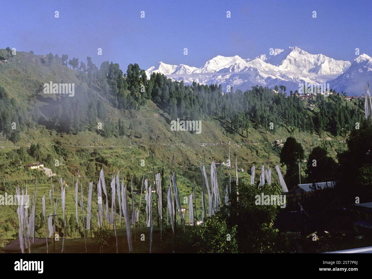 Mount Kanchenjunga Highest in India, Darjeeling, West Bengal, India ...