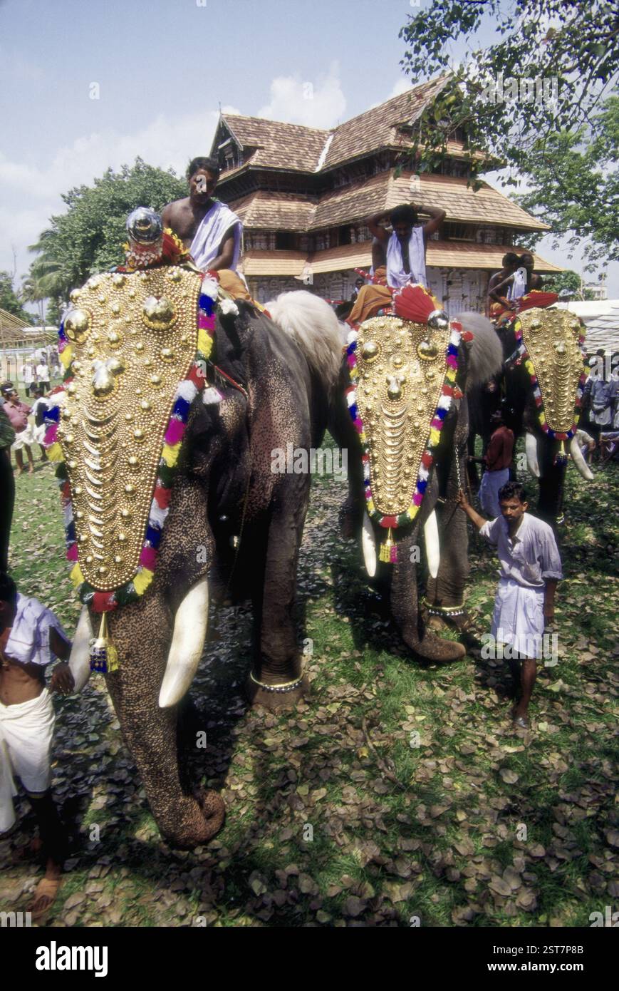 Trichurpooram pooram, Elephants March procession of bejeweled temple ...