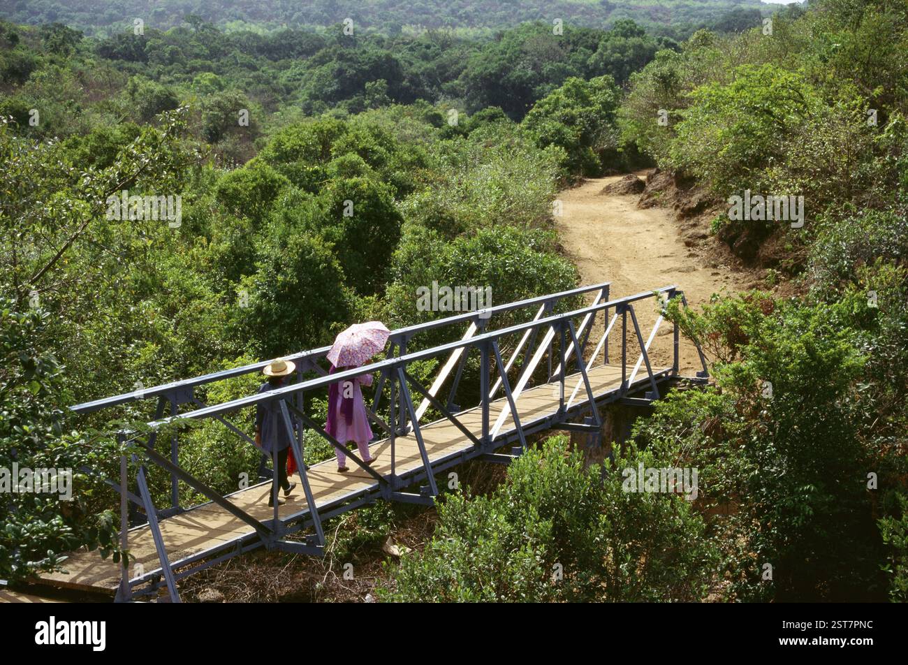 People crossing bridge way to Hiranyakashi, Amboli, Maharashtra, India ...
