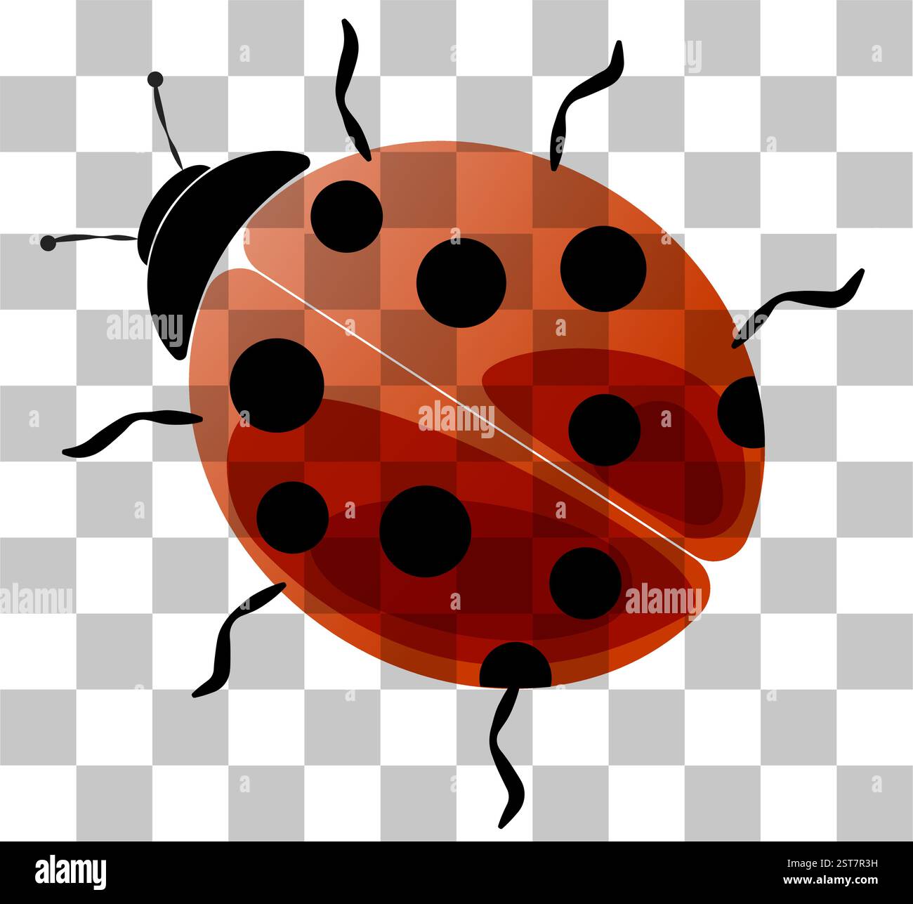 Bright red ladybug illustration on a transparent background showcasing ...