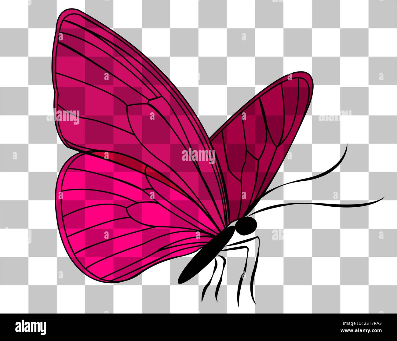 Bright pink butterfly illustration with intricate wing patterns on a ...