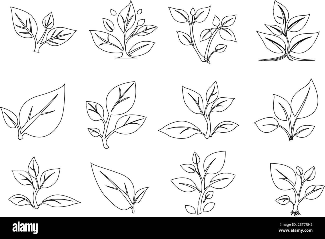 Elegant vector illustration of various leaf designs showcasing plant ...