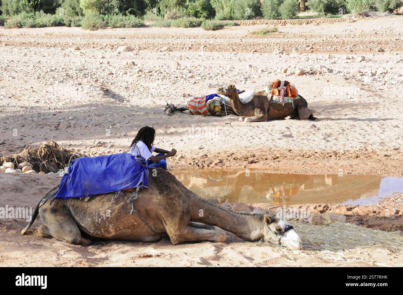 Ait Benhaddou, fortress-like mud architecture of Ait Ben Haddou, traveller with camels in a ...