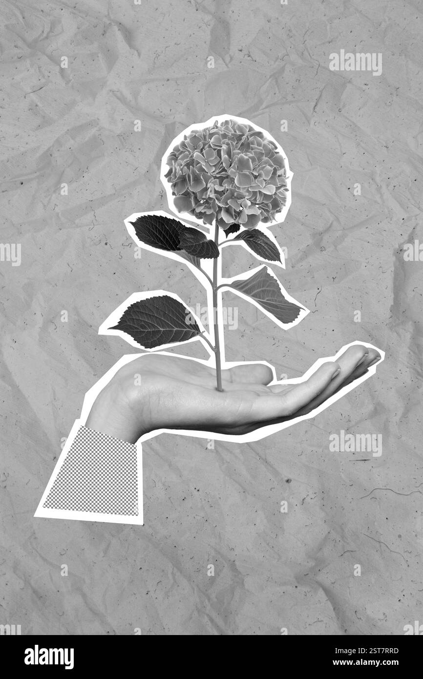 Vertical collage image of black white colors arm palm hold growing ...