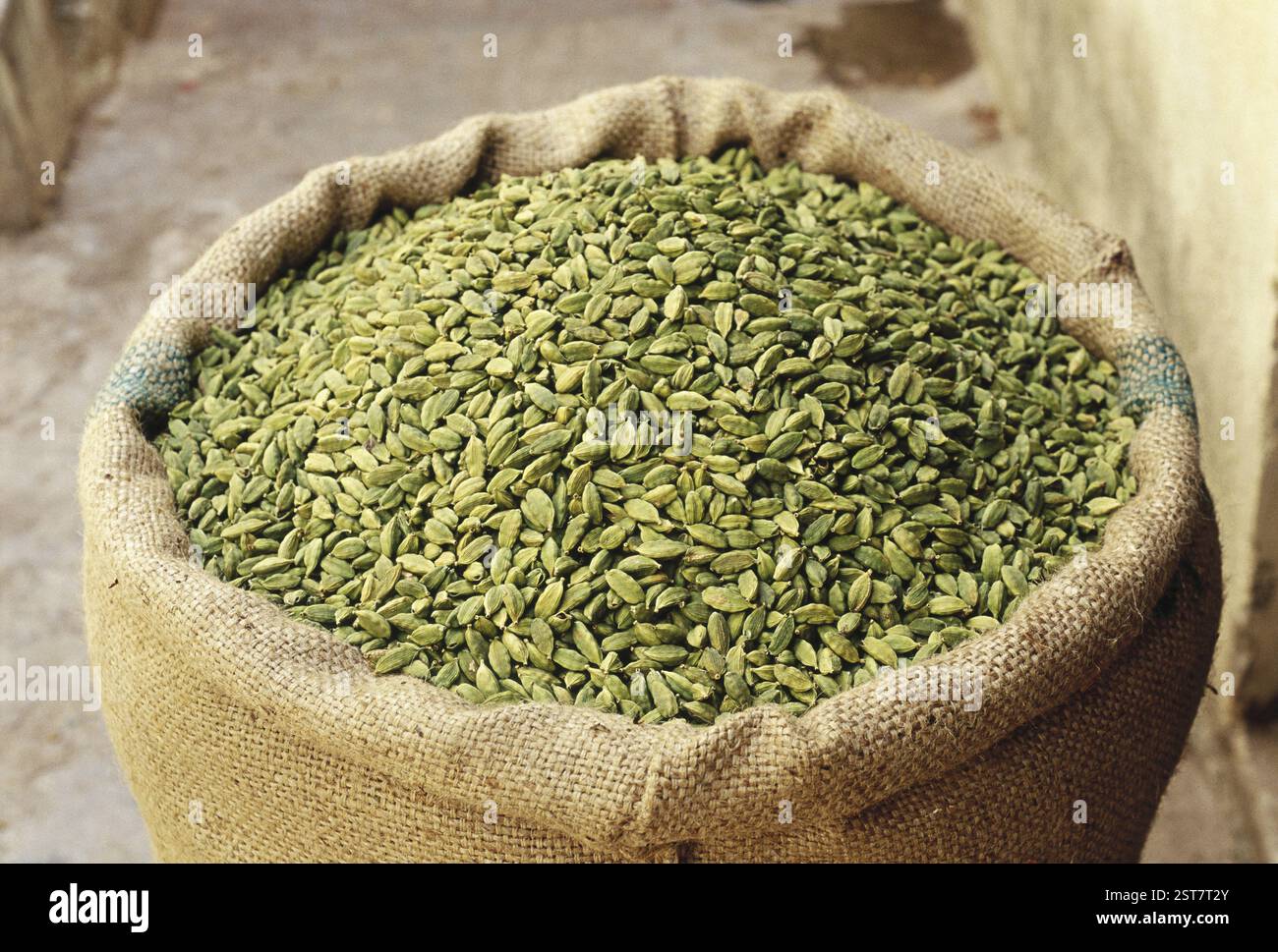 Spices, cardamom (Elettaria cardamomum maton), india Stock Photo - Alamy