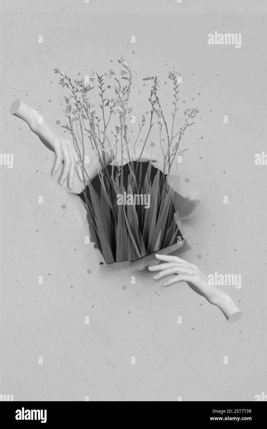 Collage photo of growing breakthrough paper wall nature organic eco ...