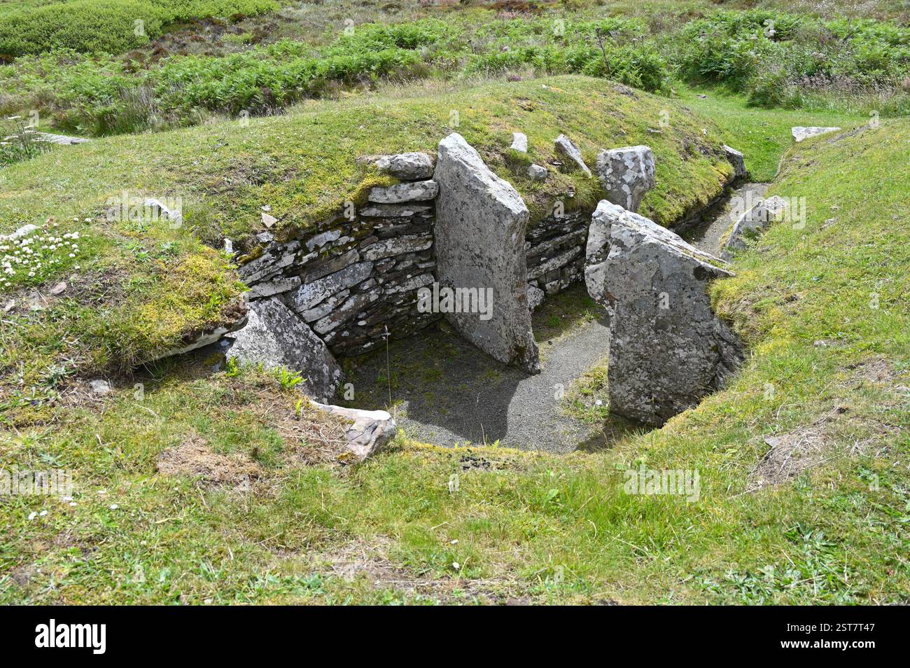 Remains of Cairn o’Get chambered burial cairn Scotland July Stock Photo ...