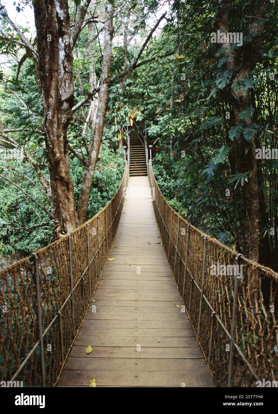 Wooden bridge, Wynad, Kerala, India, Asia Stock Photo - Alamy