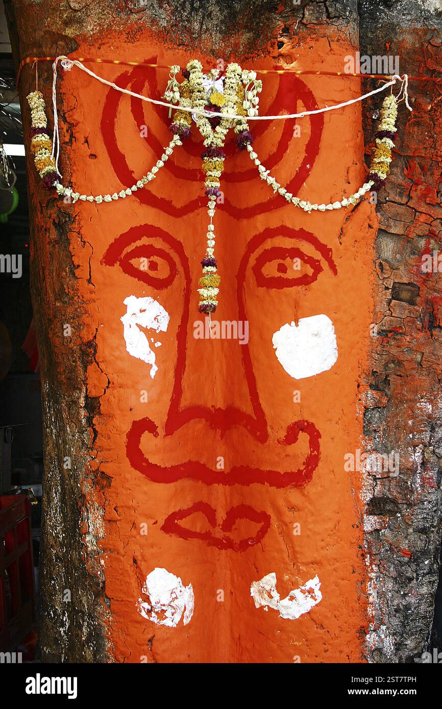 Monkey God Hanuman painted with orange color sindur on tree trunk ...