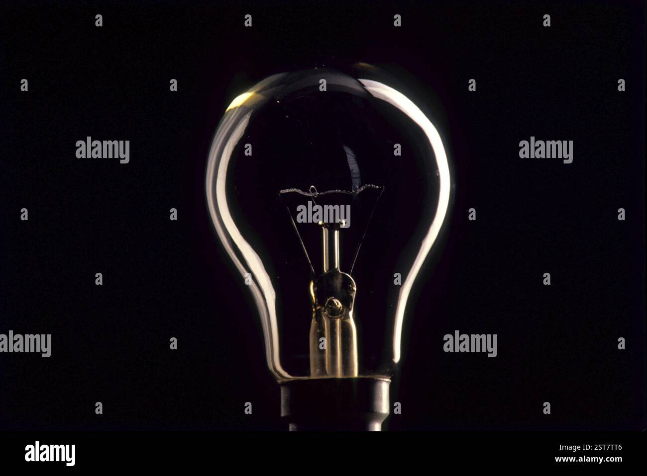 Rhizome parts hi-res stock photography and images - Alamy