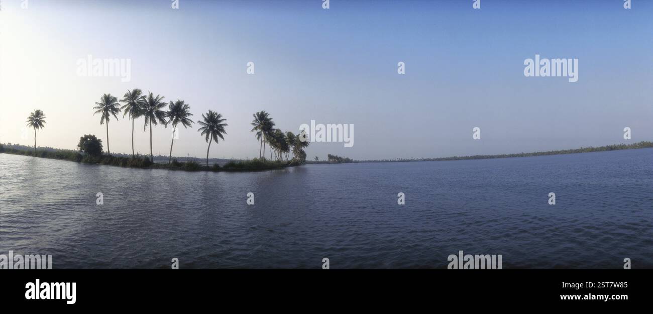 Panoramic Landscape Of Kerala With Coconut Trees And Water At Allepey ...