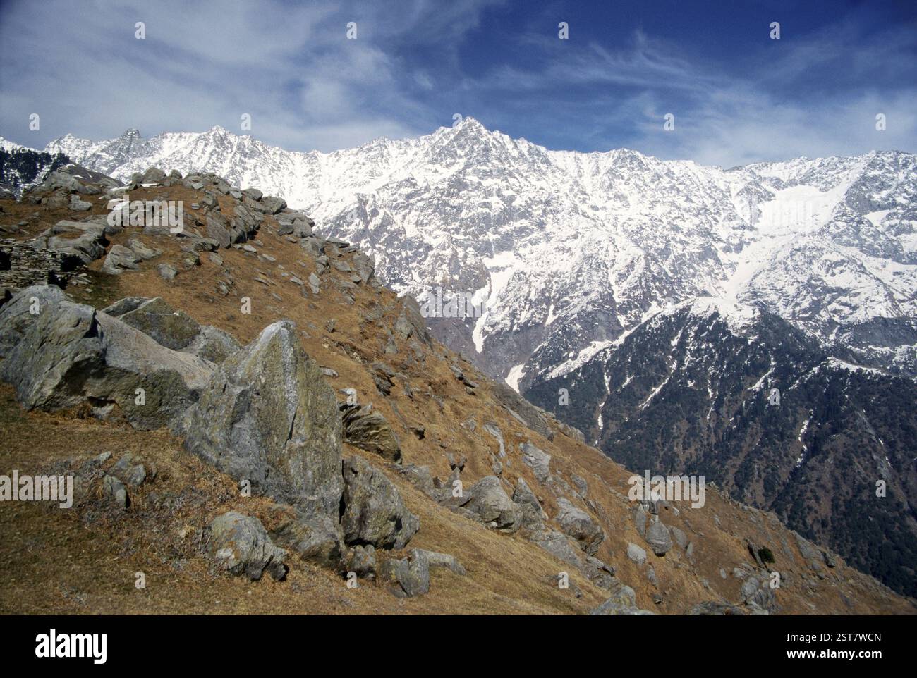 Dhavaladhar range, Triund Treak, Dharmshala, Himachal Pradesh, India ...