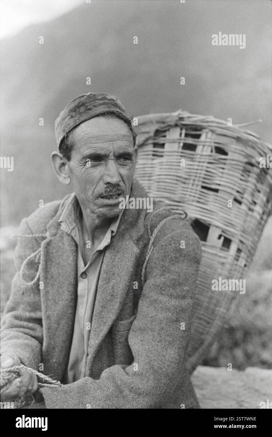 Himachal pradesh apples hi-res stock photography and images - Alamy