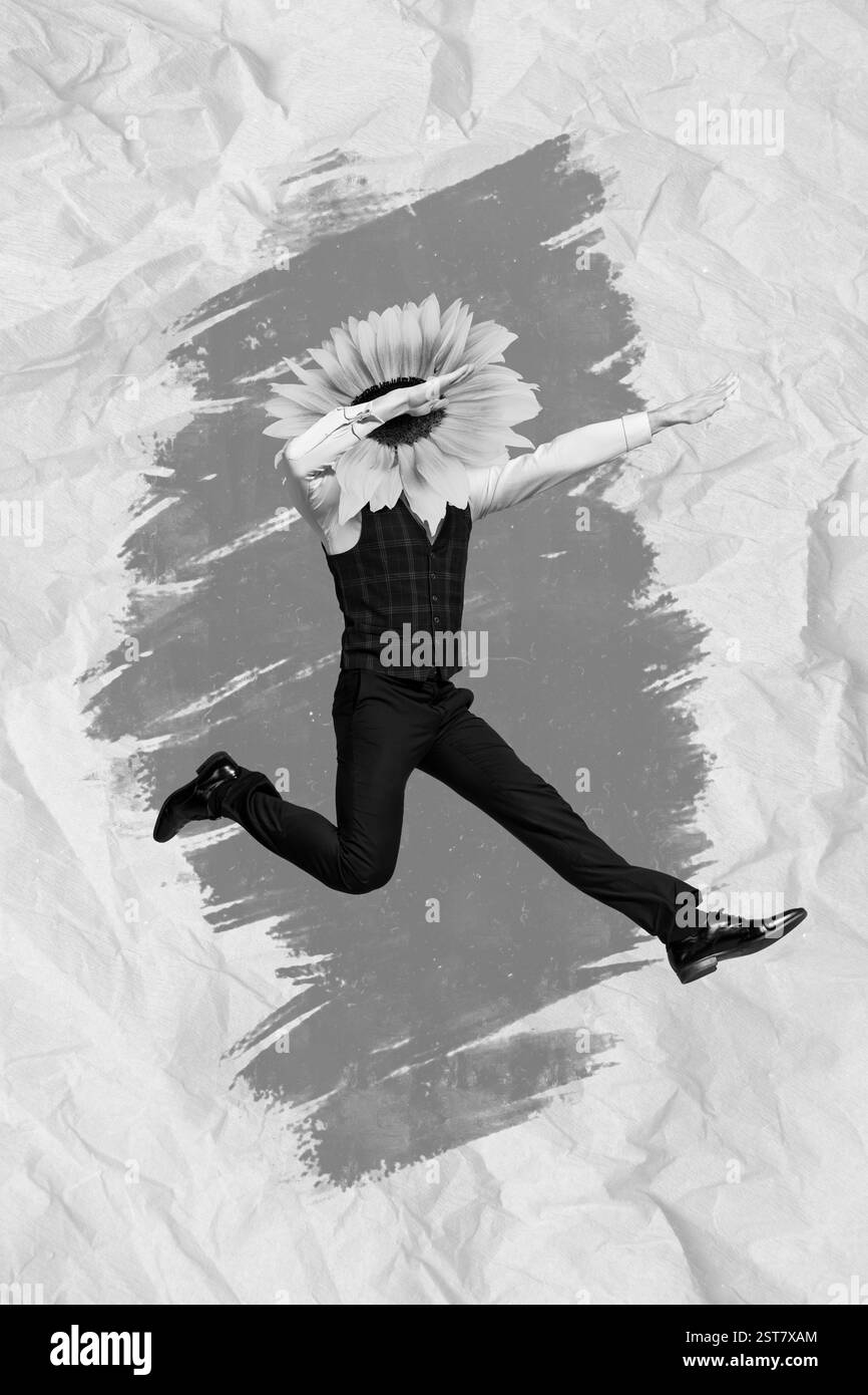 Photo artwork minimal collage picture of funky funny guy sunflower ...