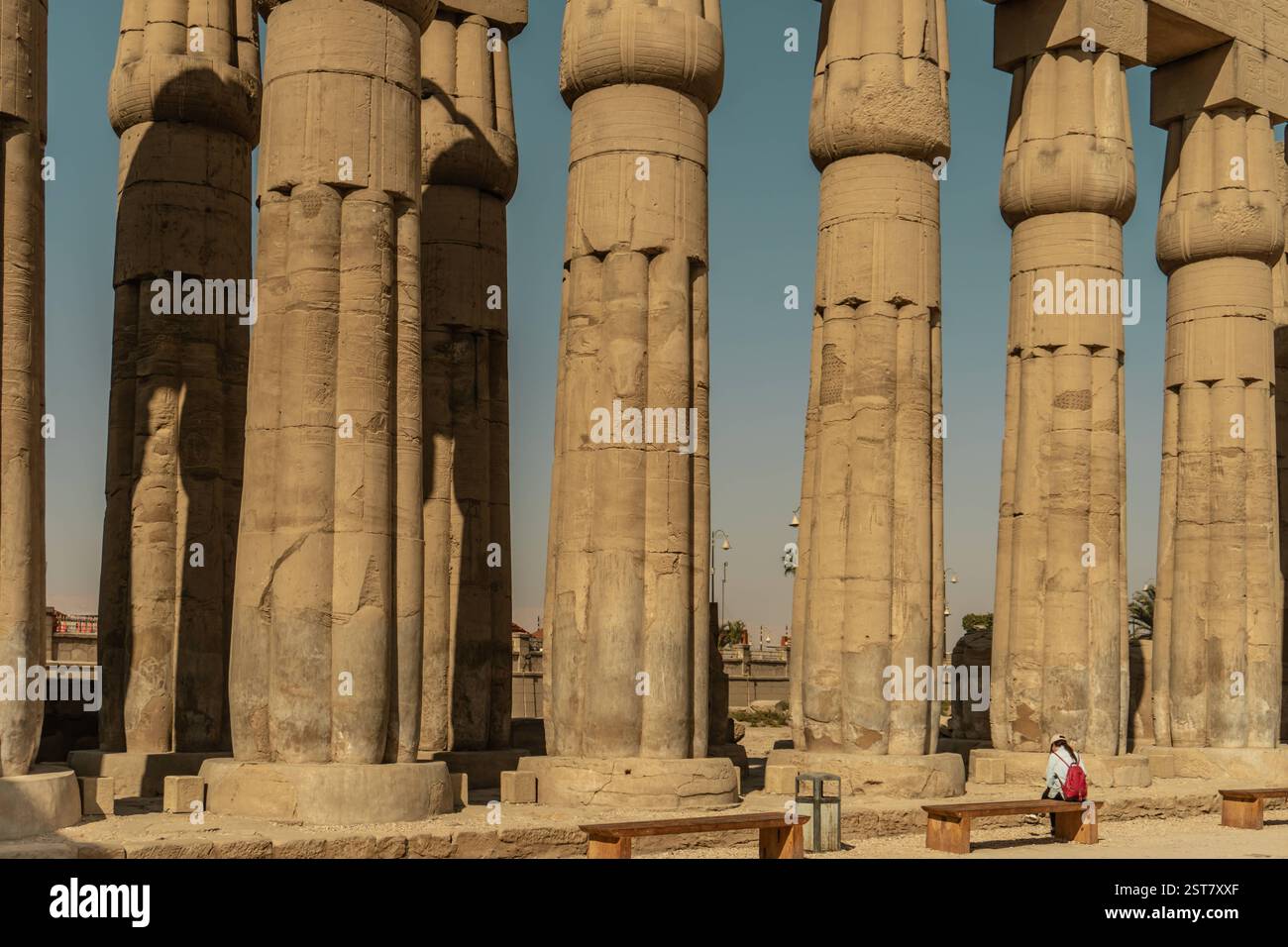culture travvel Egypt ancient Egyptian temple complex Landscape in the ...