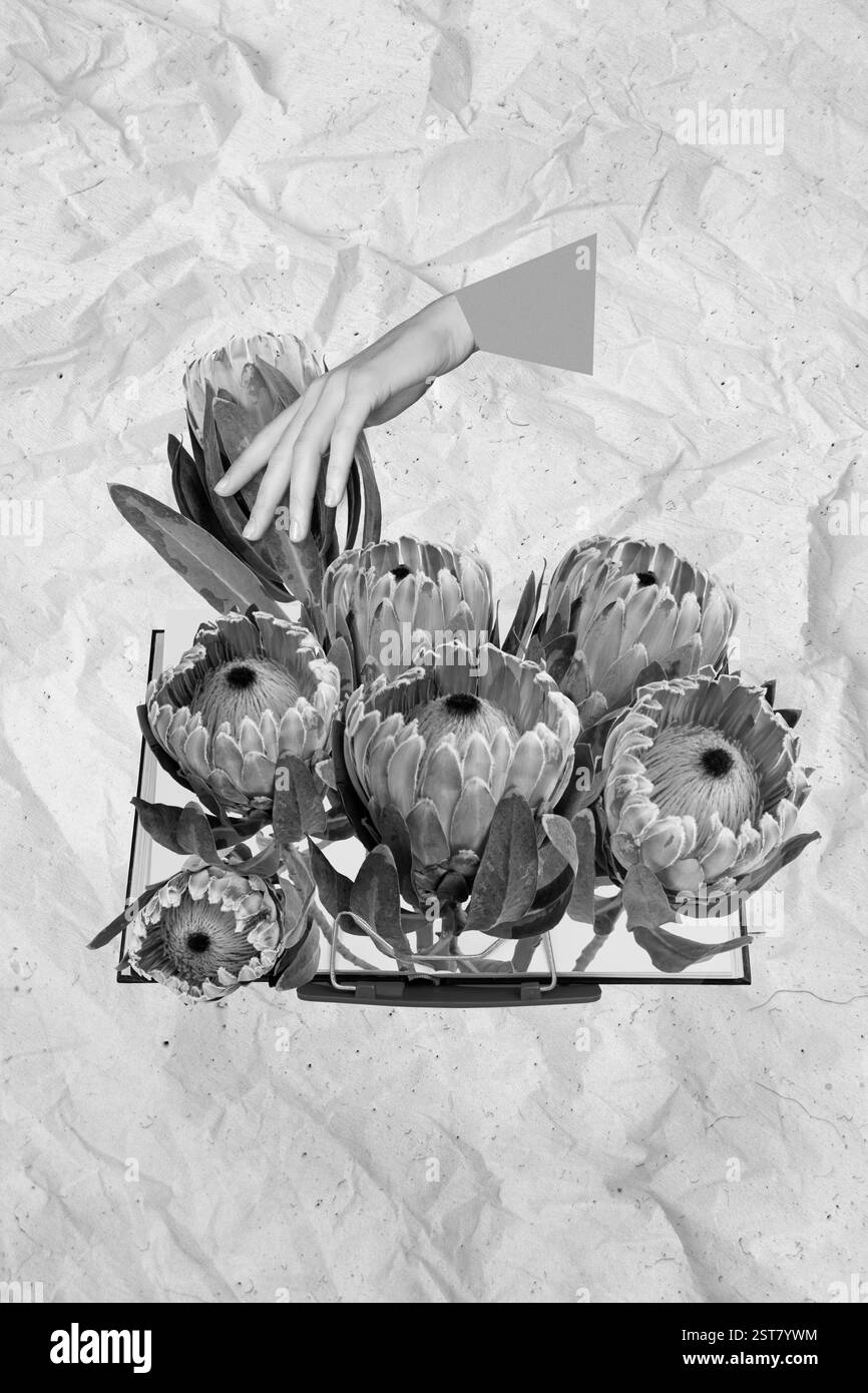 Art collage hand book Black and White Stock Photos & Images - Alamy