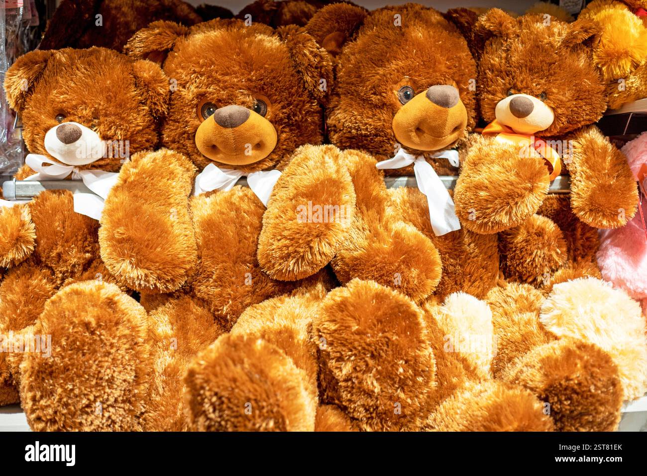 cute brown teddy bears cuddled together on a supermarket counter ...