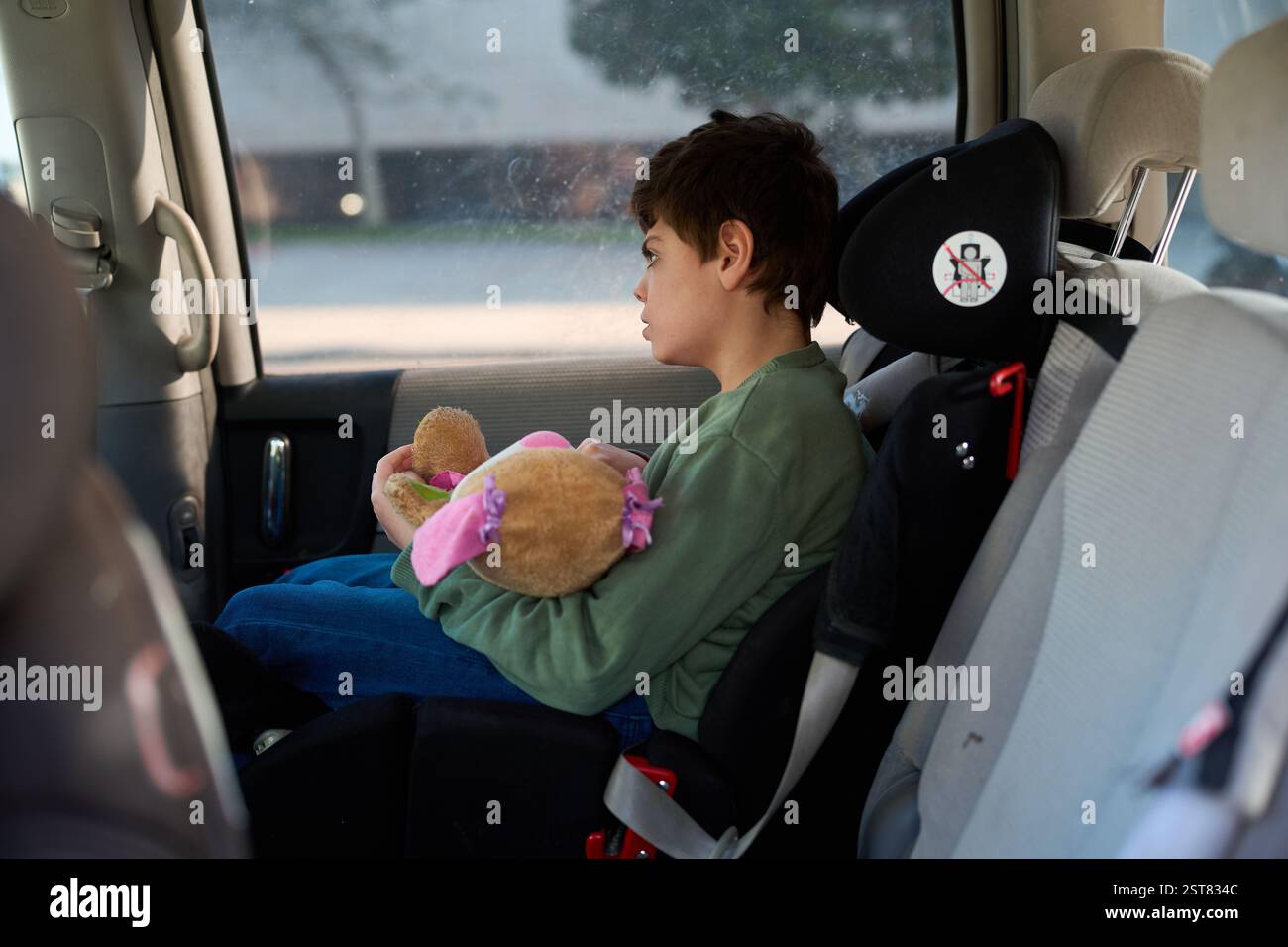 Boy with disability holding teddy bear while traveling by car Stock ...