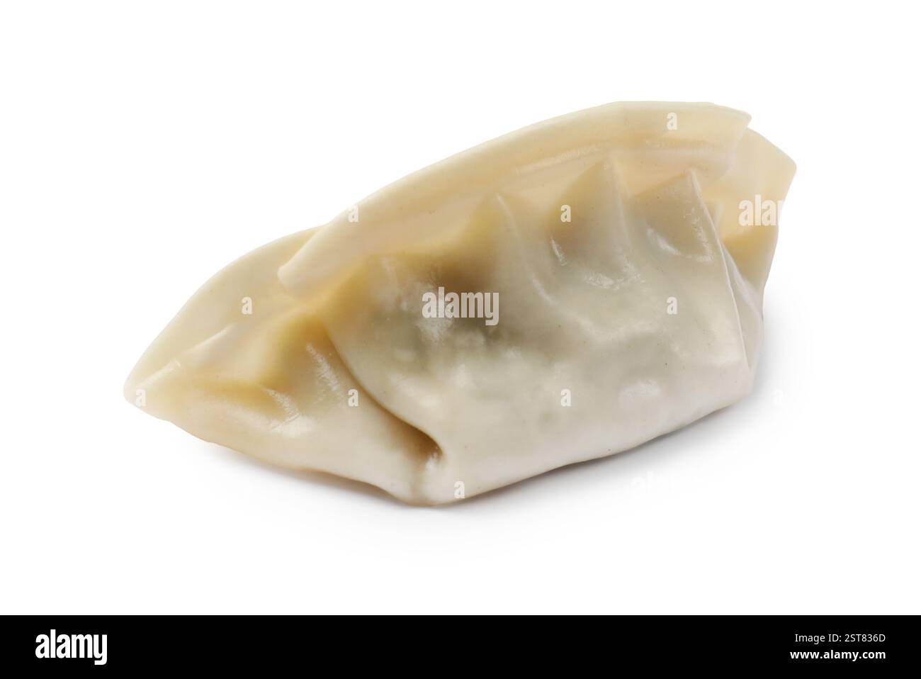 One fresh gyoza dumpling isolated on white Stock Photo - Alamy
