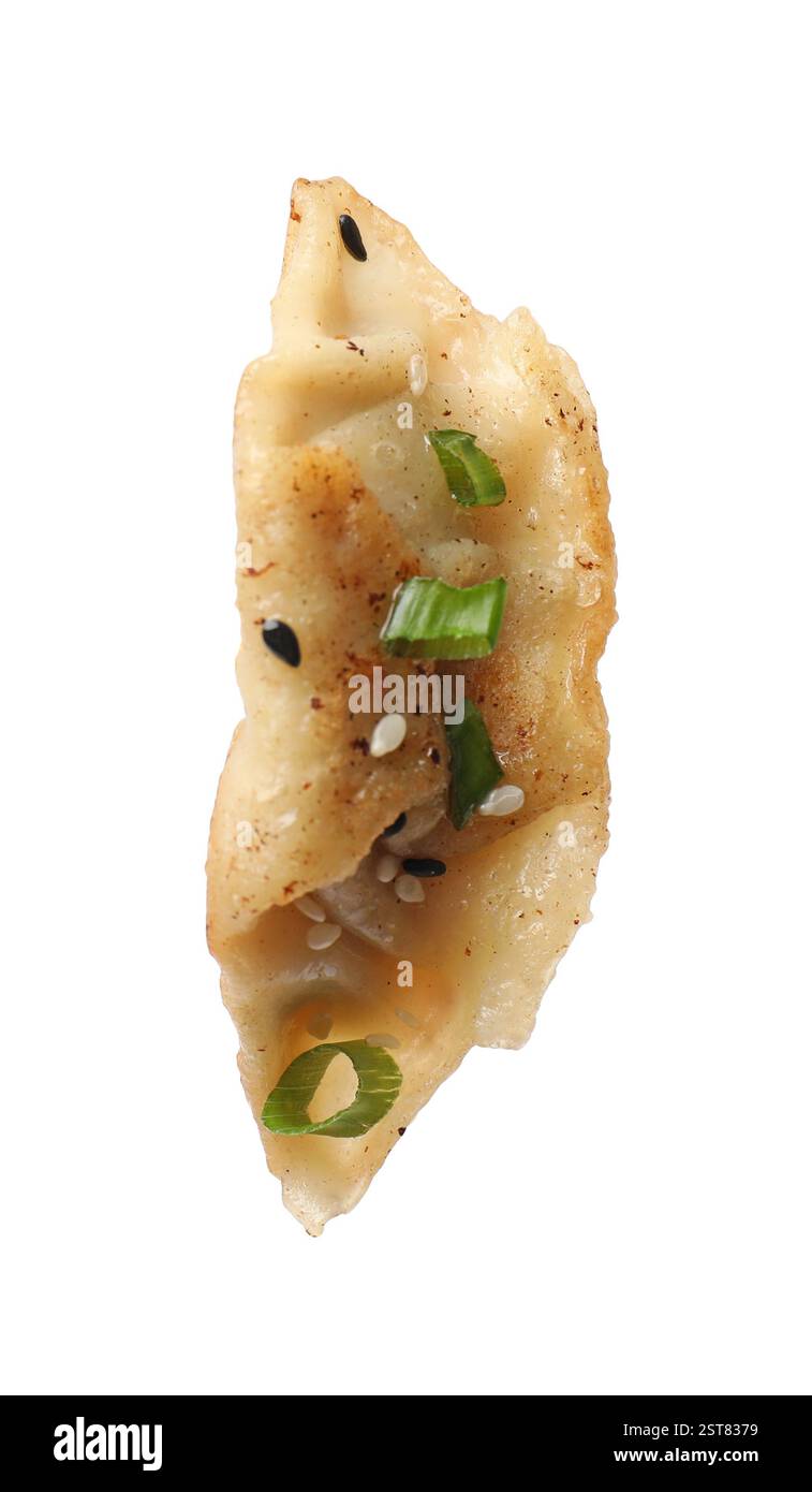 One fried gyoza dumpling with green onion isolated on white Stock Photo ...