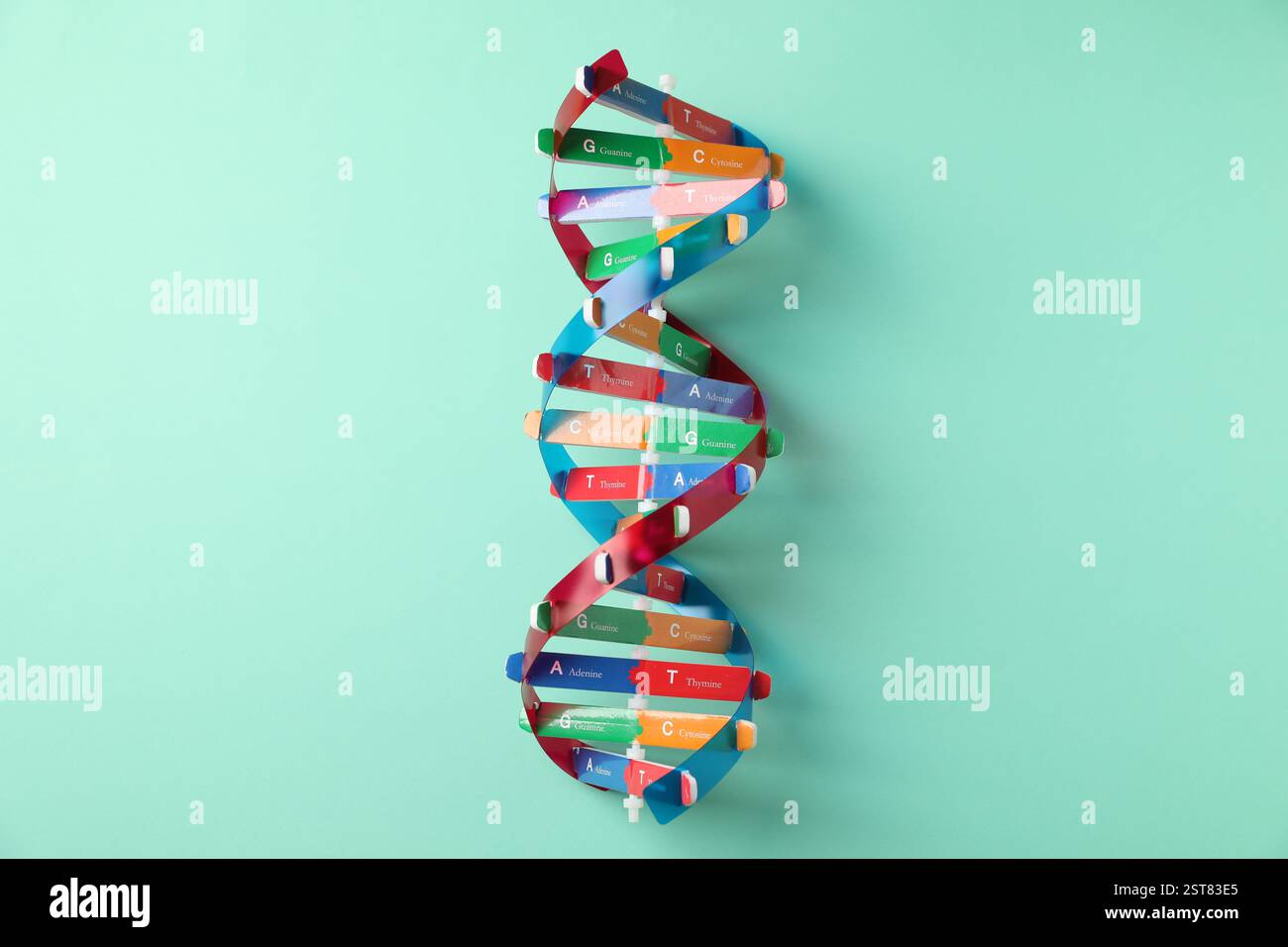 Colorful DNA structure model on turquoise background, top view Stock ...