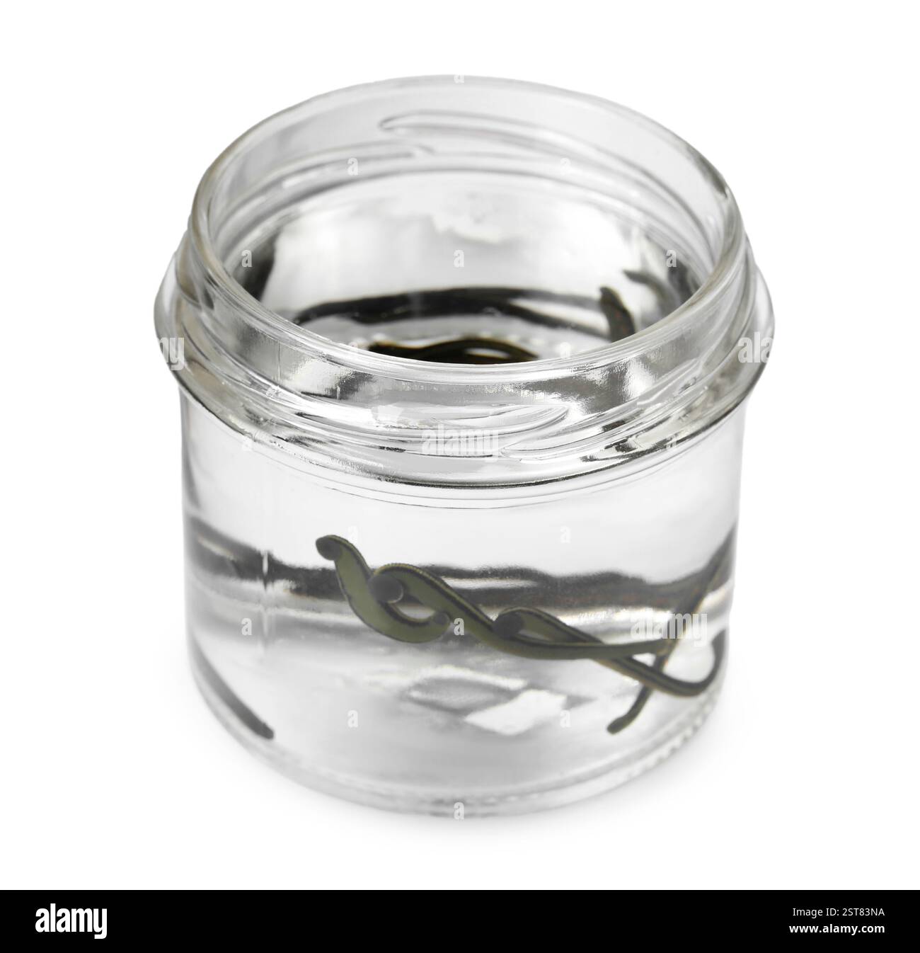 Medicinal leeches in glass jar isolated on white Stock Photo - Alamy