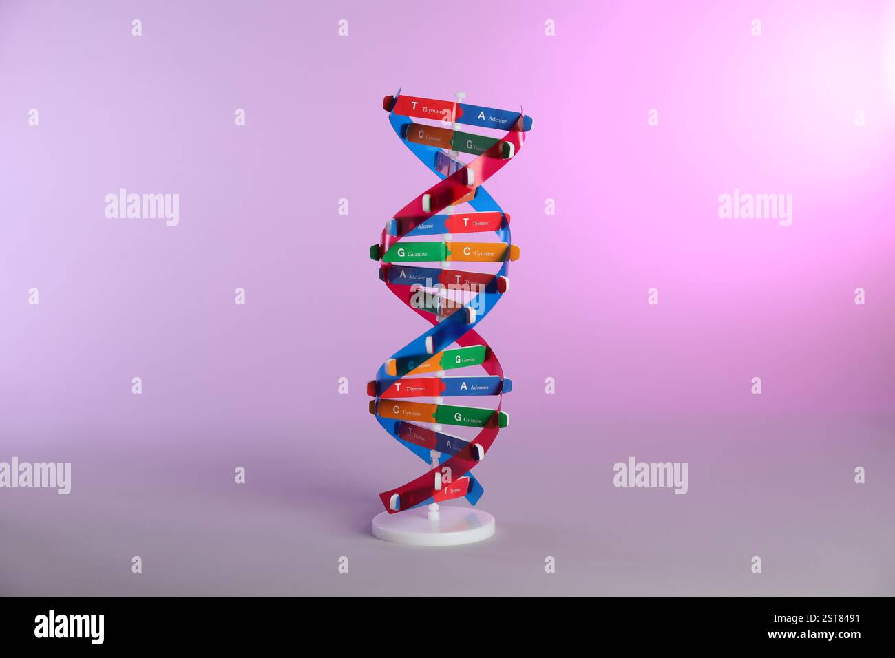 One DNA structure model on color background Stock Photo - Alamy