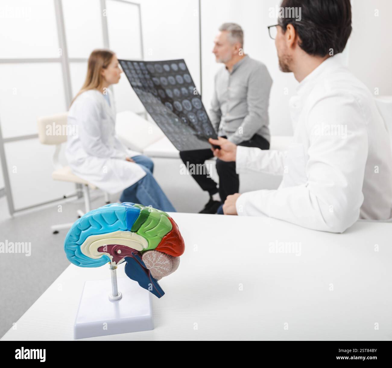 Human brain anatomical model on doctor's table over background doctors ...