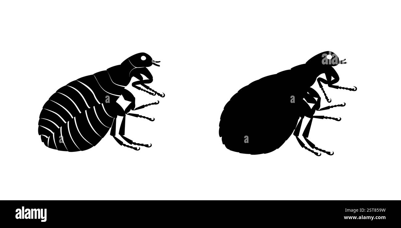 Flea insect and its silhouette vector illustration Stock Vector Image ...