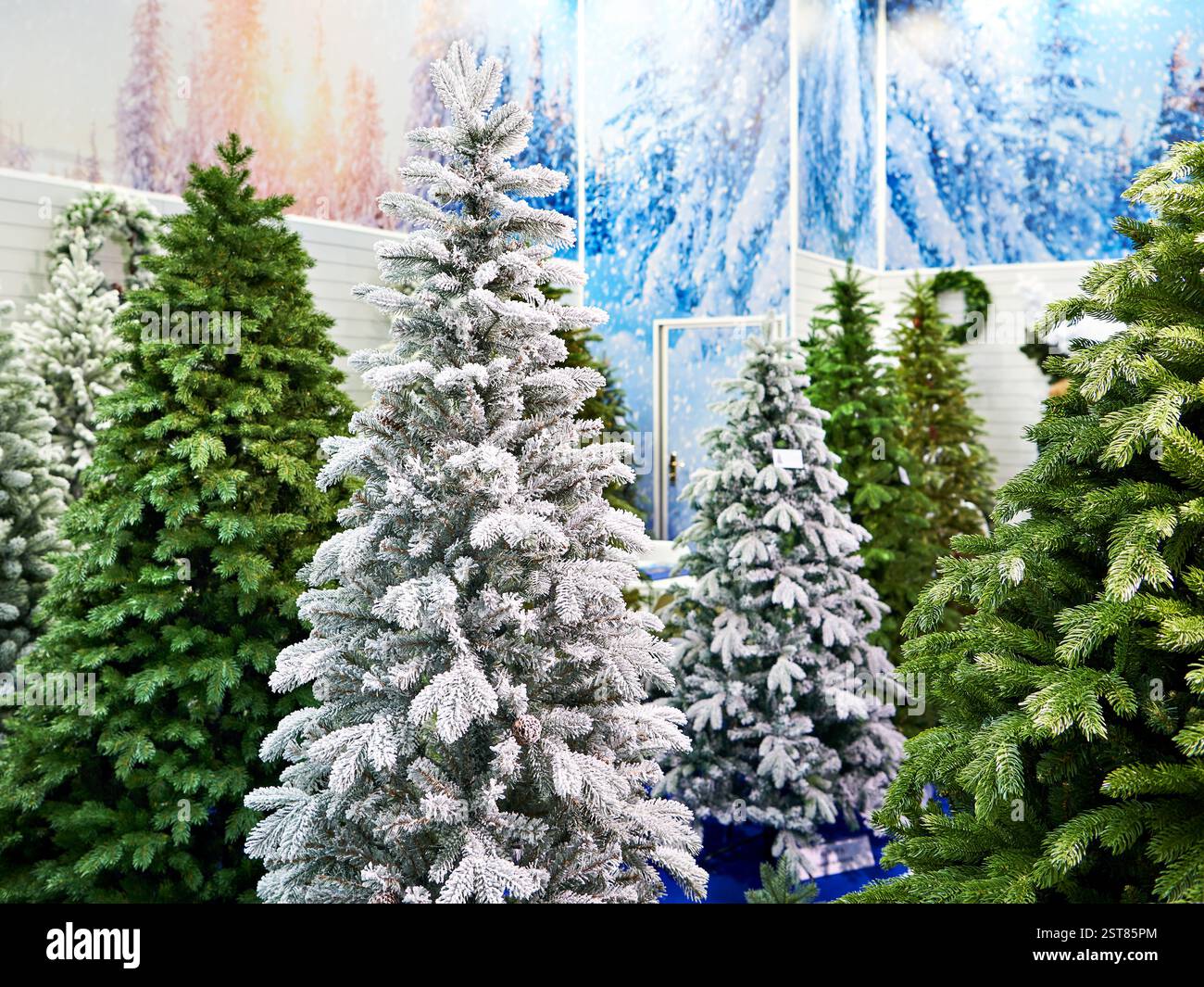 Artificial Christmas trees spruce in the store Stock Photo - Alamy