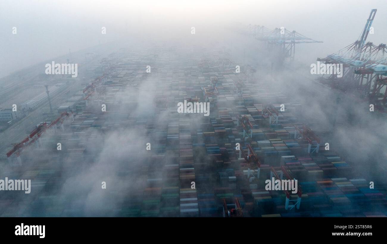 Shanghai, China. 16th Feb, 2025. Cranes, control tower and cargo ships ...