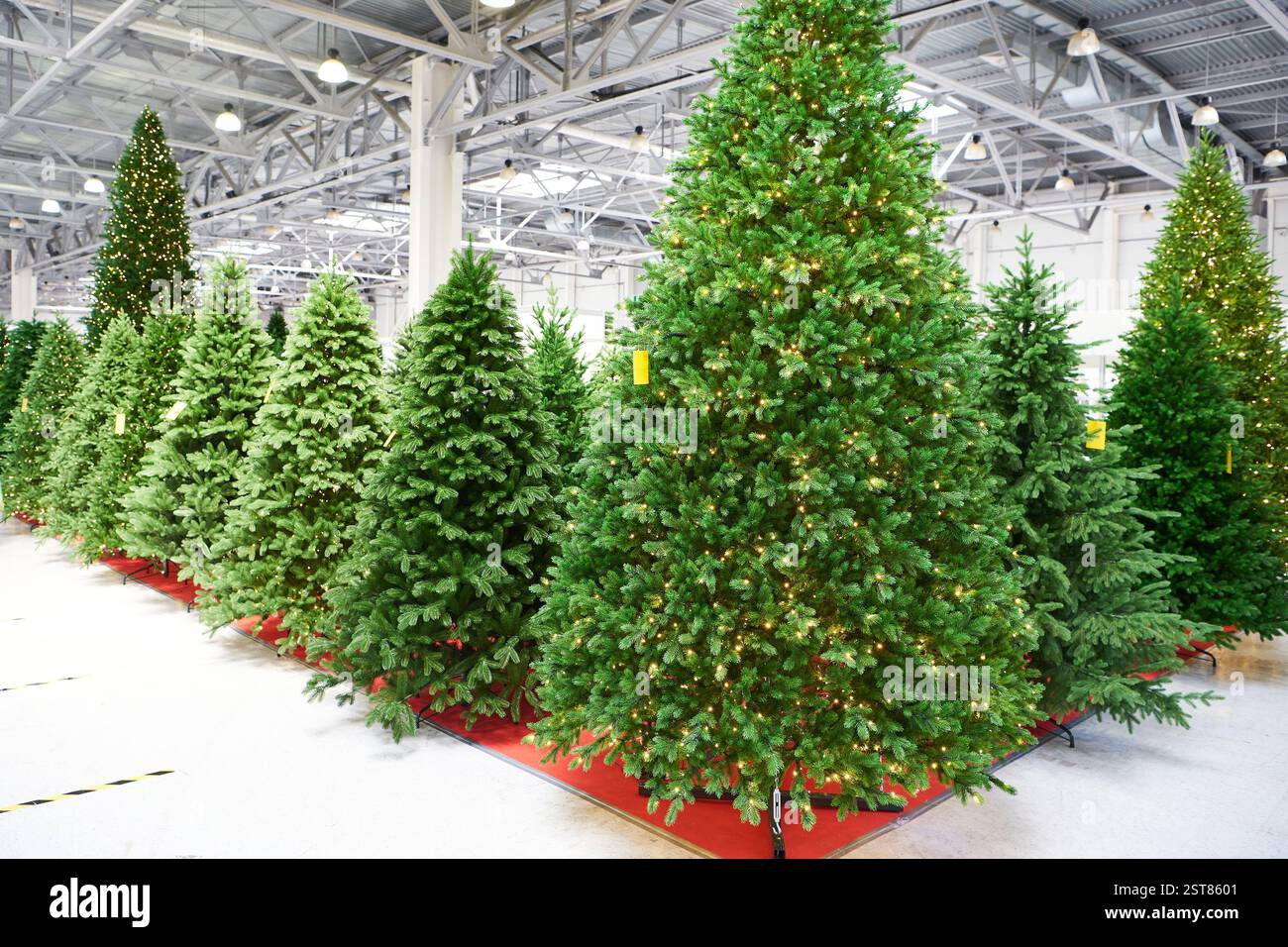 Artificial Christmas trees spruce in the store Stock Photo - Alamy