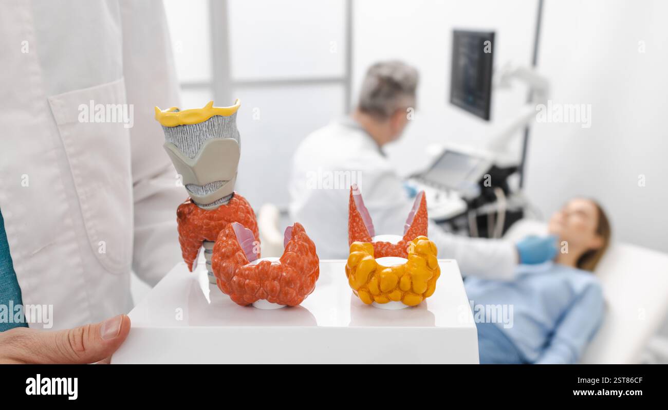 Anatomical model of thyroid pathologies against background of ...