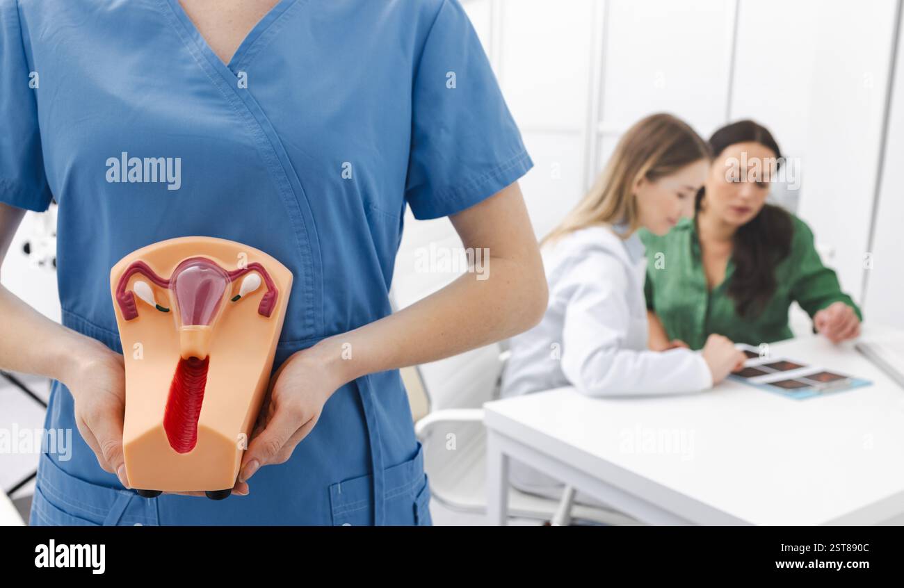 Gynecologist assistant holding demonstration model of uterus to show ...
