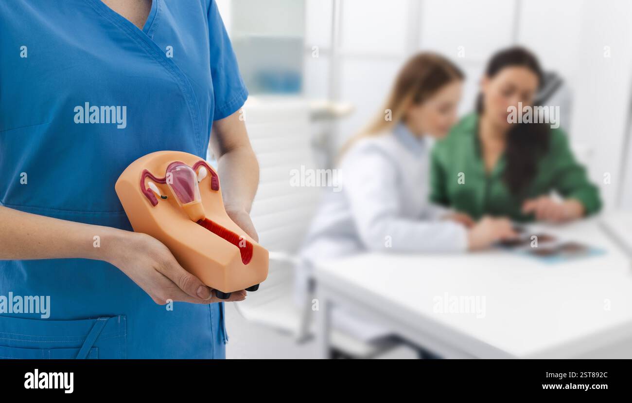 Demonstration model of uterus to show woman patient an intrauterine ...