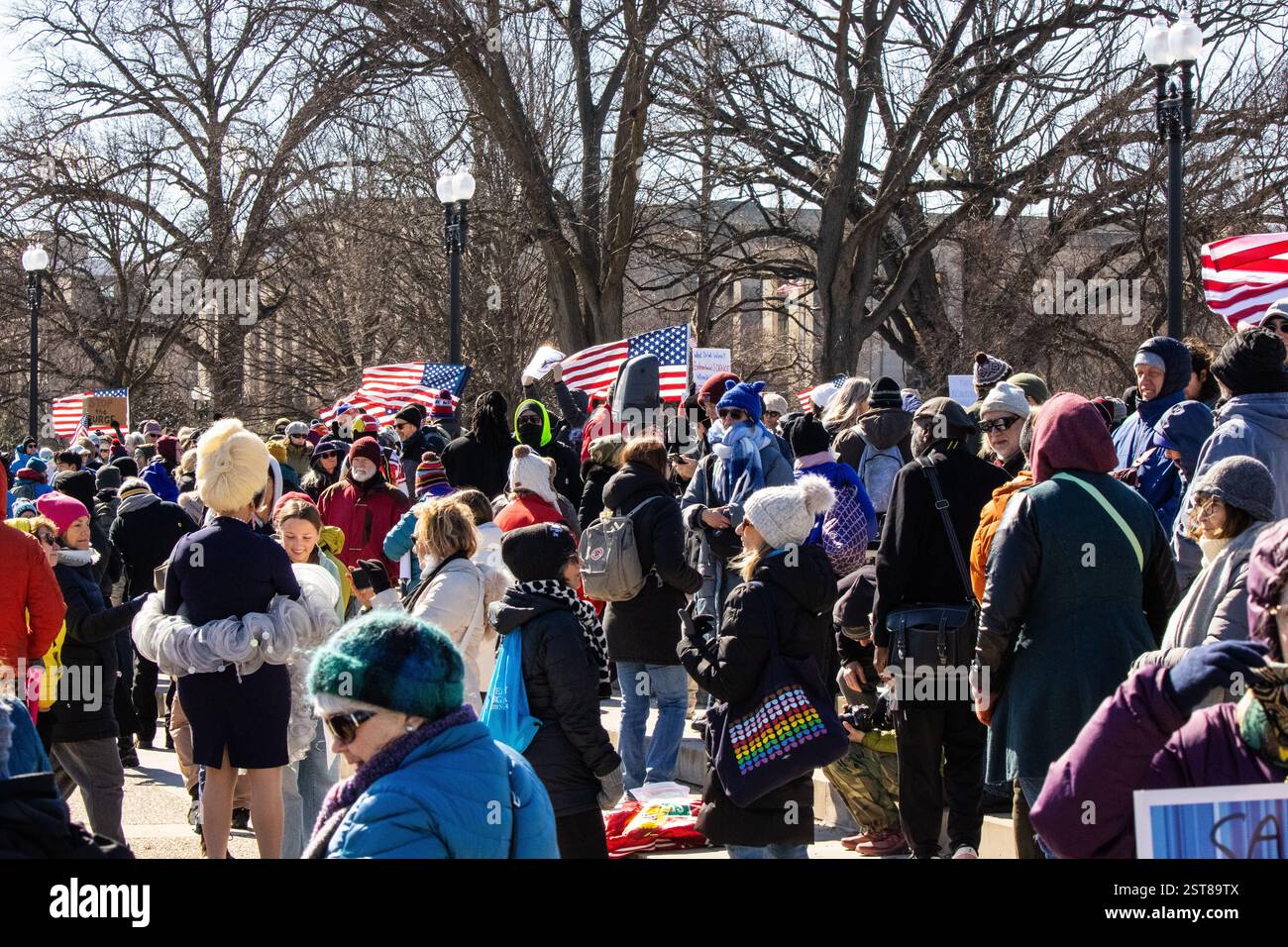 Washington, USA. 17th Feb, 2025. Demonstrators gather at the US Capitol ...
