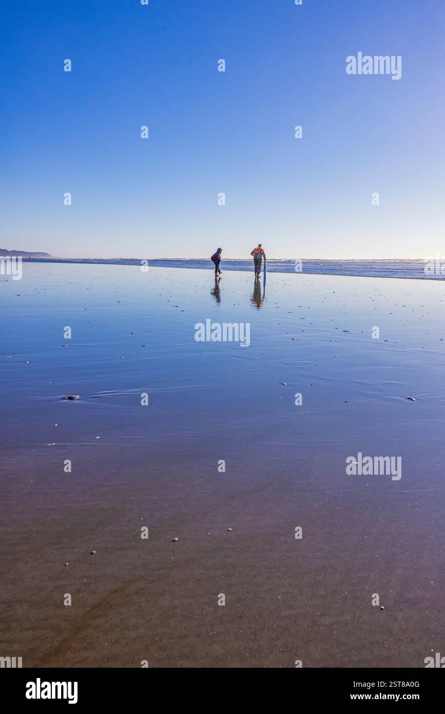 Using a clam gun for harvesting Razor Clams on Mocrocks Beach, Pacific ...