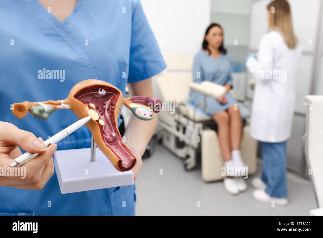 Gynecologist pointing uterine leiomyomas on anatomical model of uterus ...