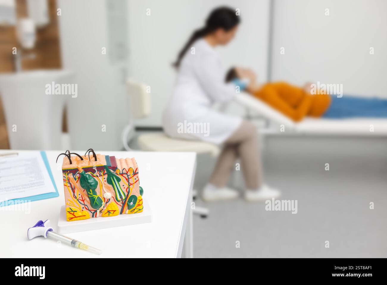 Medical model featuring anatomical details of structure skin is ...