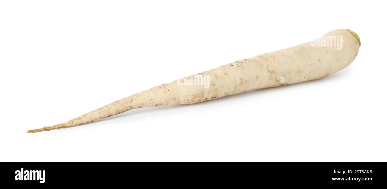 Whole fresh turnip isolated on white. Vegetable root Stock Photo - Alamy