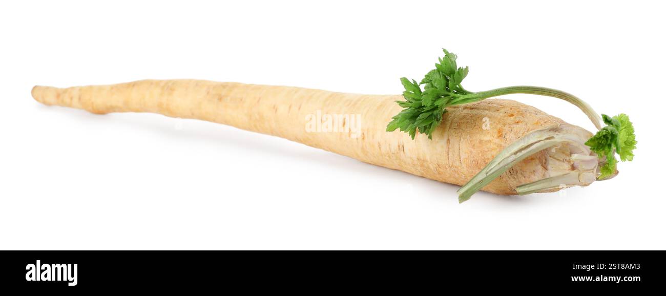 One fresh parsnip isolated on white. Root vegetable Stock Photo - Alamy